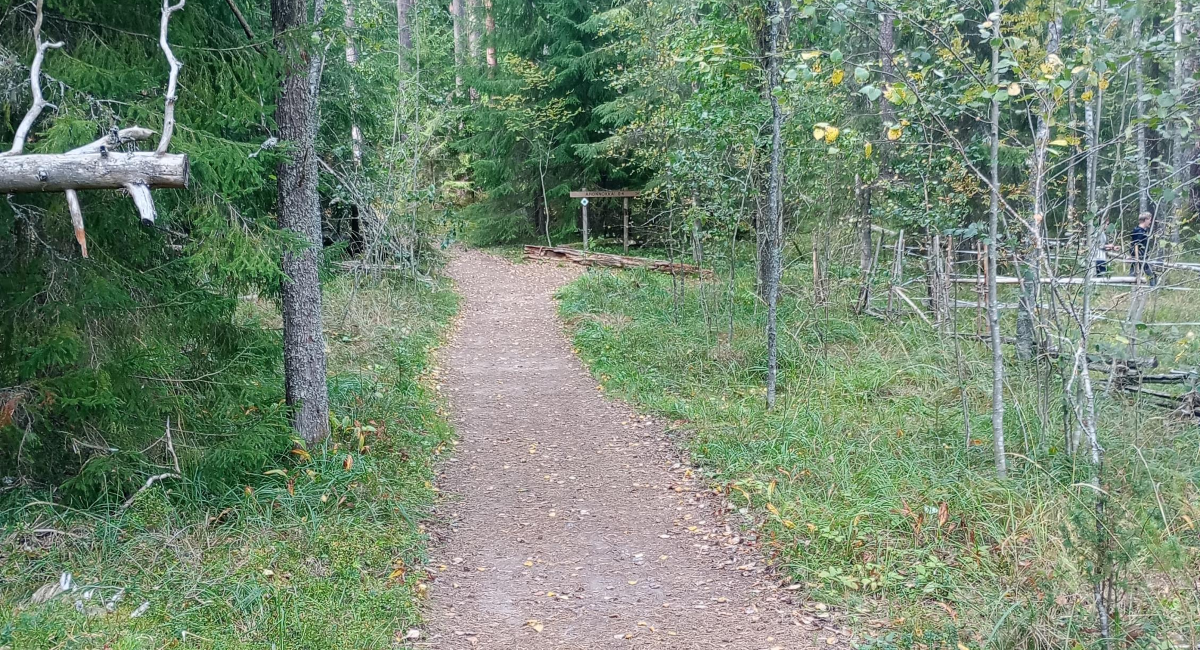Pohjantikka Trail - Luontoon